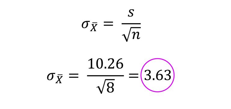 Standardfehler des Mittels einfach erklärt! Standardfehler berechnen